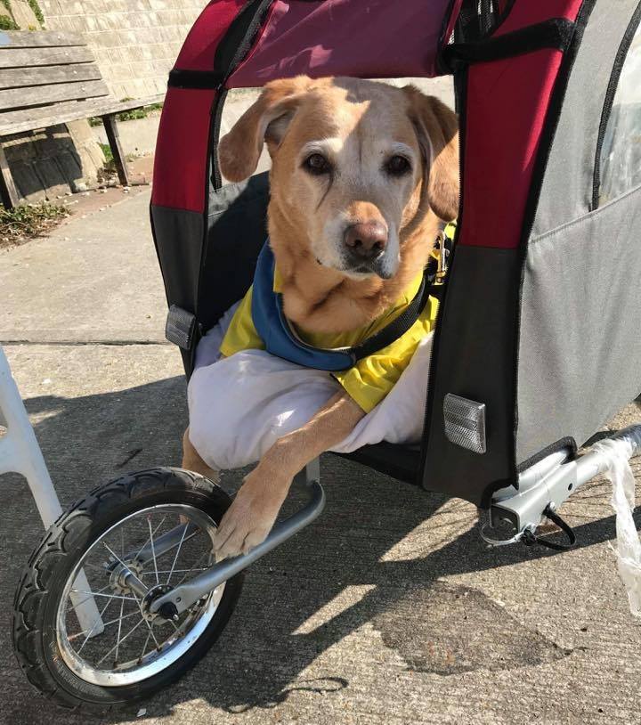 Managing chronic pain - Meopham